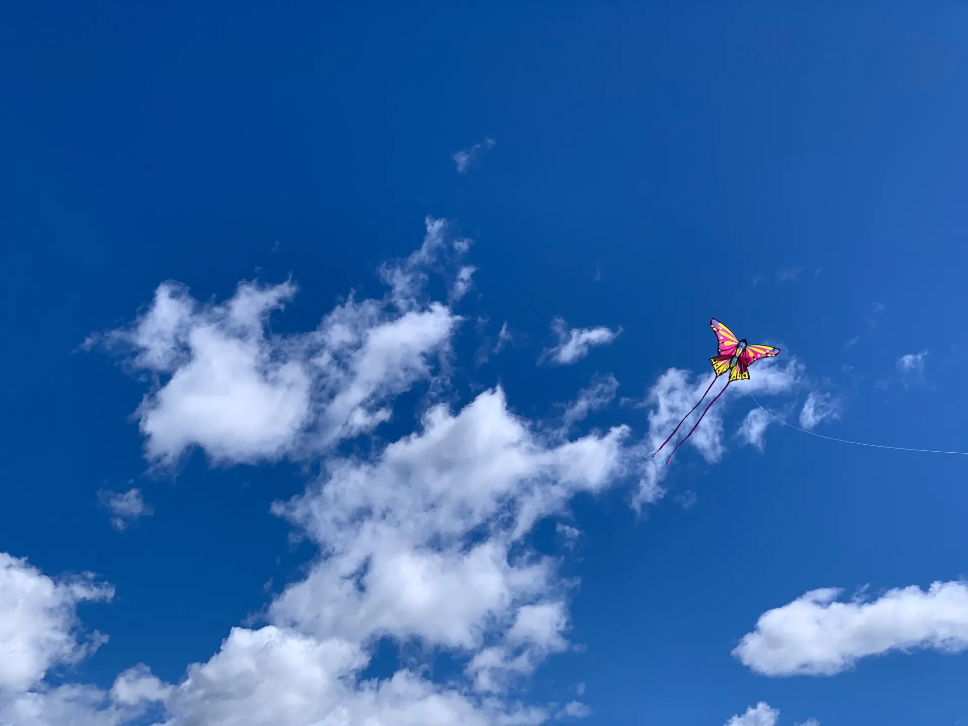 Xor-3dpr | Veröffentlicht - MakerWorld