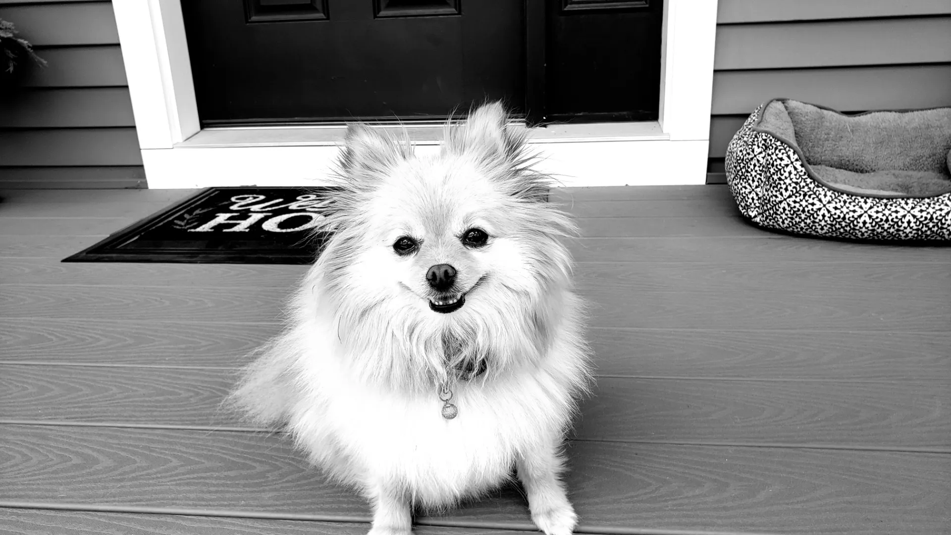 Maker Dave | Published - MakerWorld