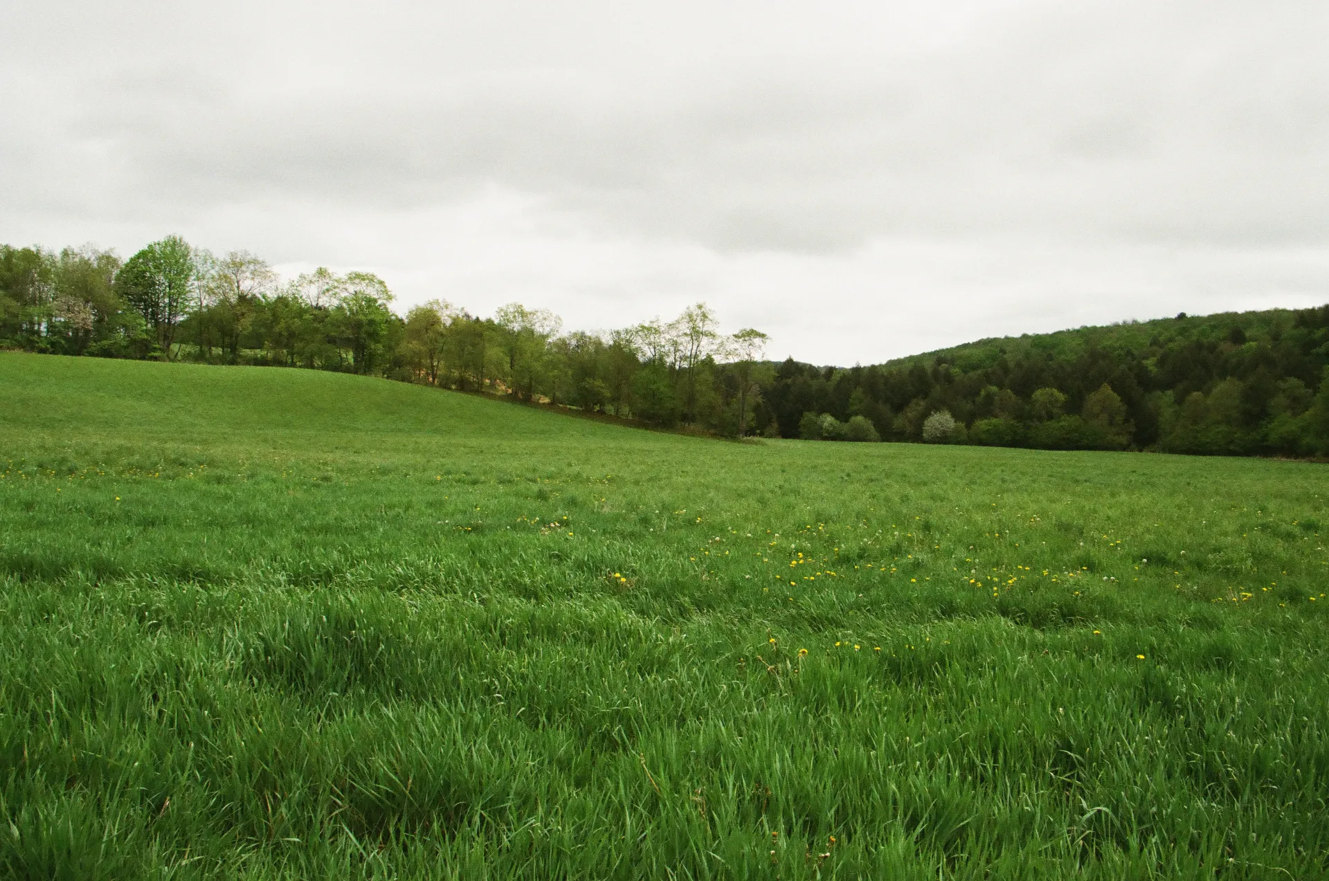 Bleepbloop | Inicio - MakerWorld