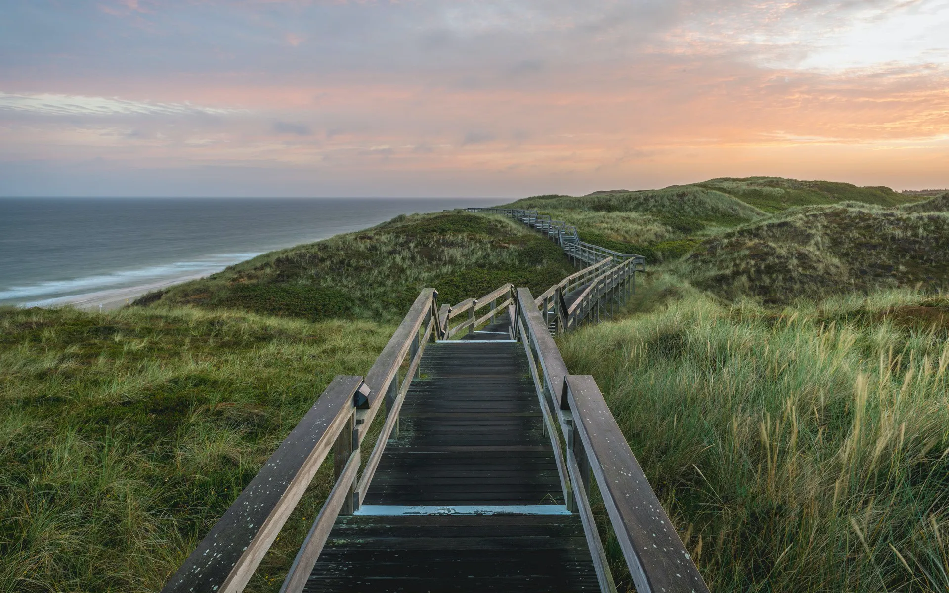 mister-xl | Followers - MakerWorld