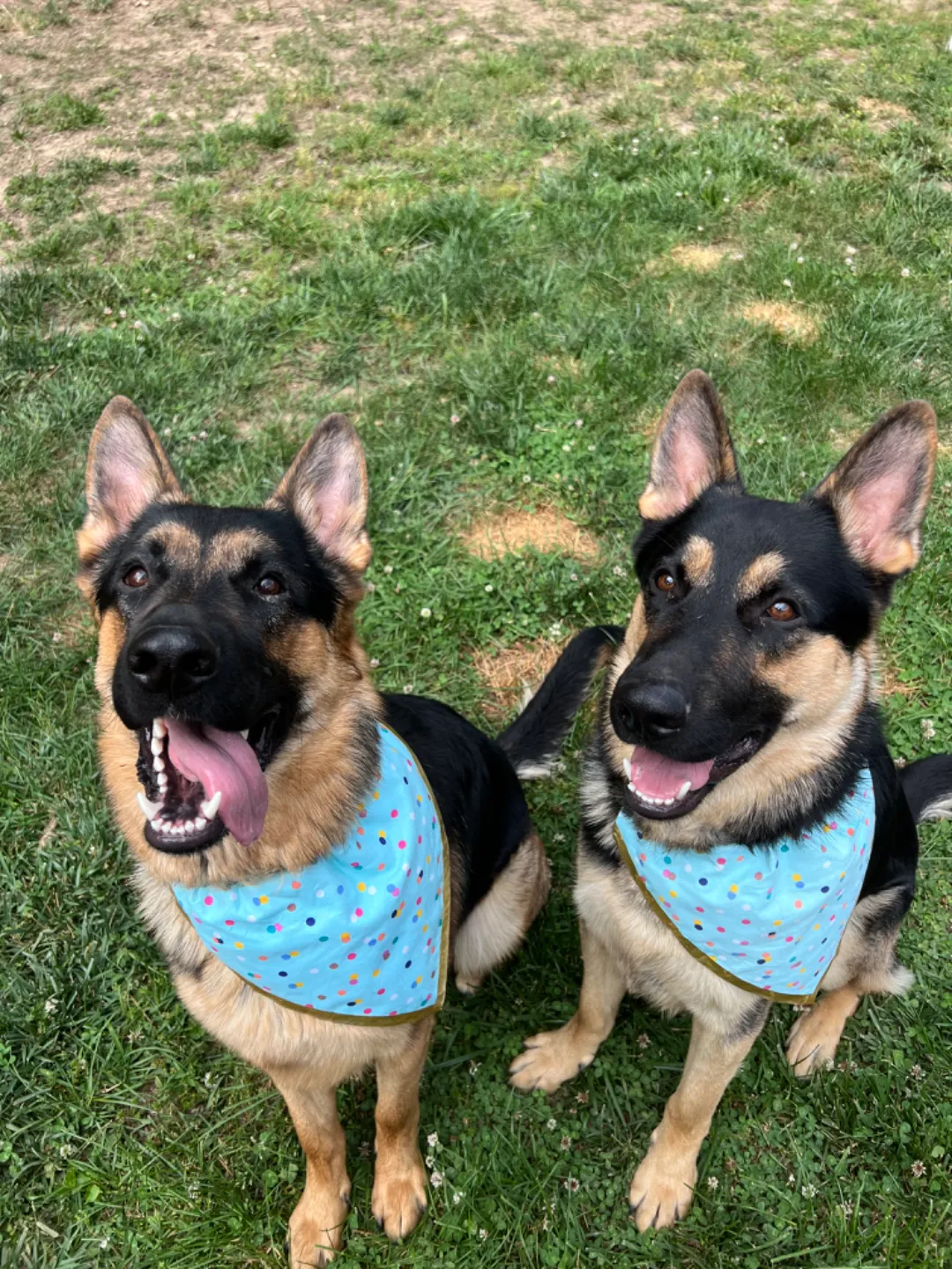 TwinShepherdPrinting | Published - MakerWorld