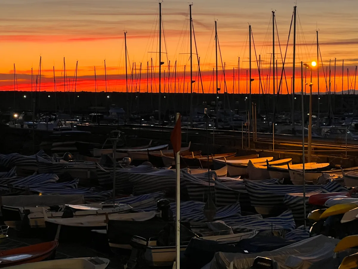 Predo | Published - MakerWorld