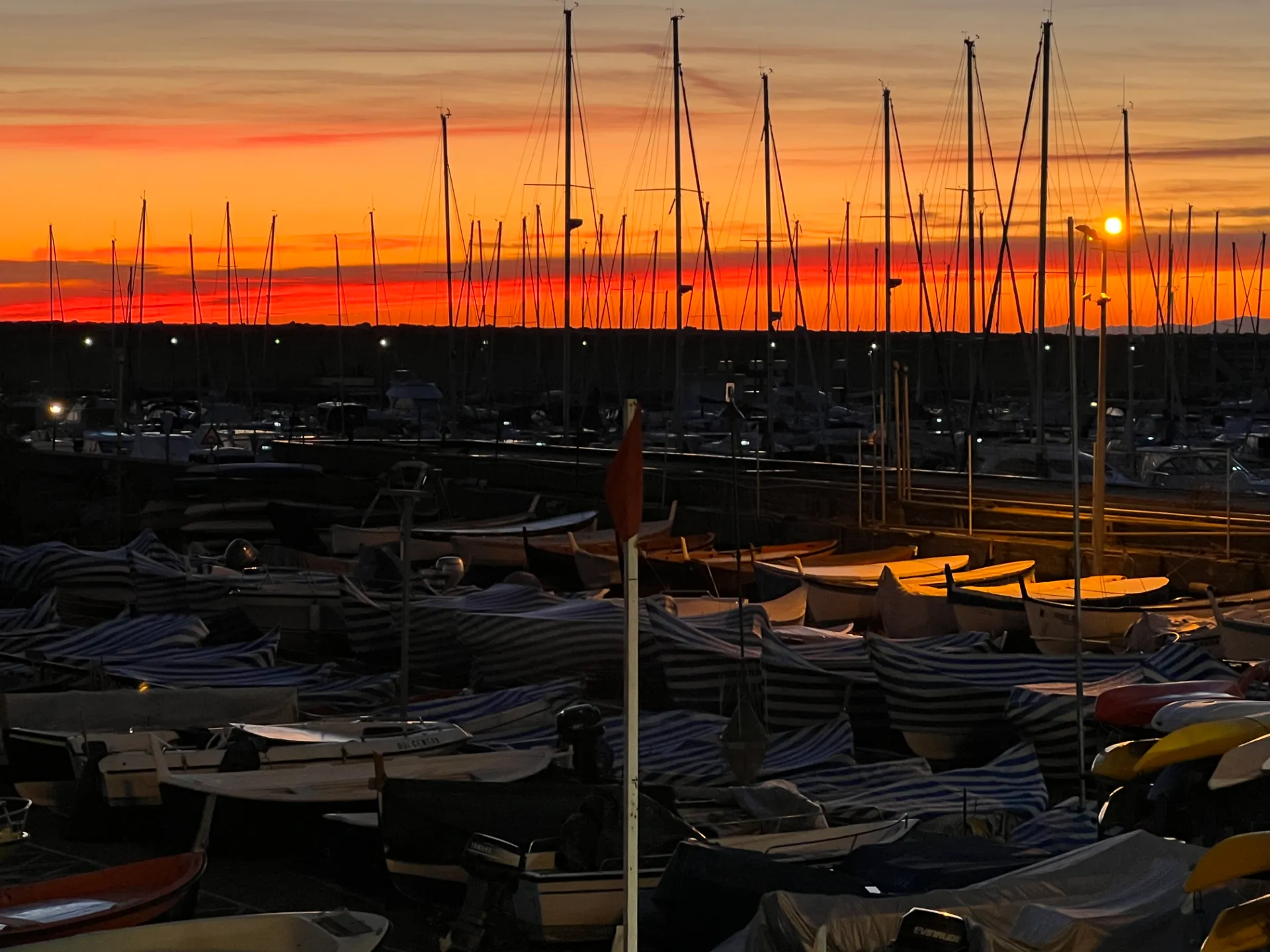 Predo | Home - MakerWorld