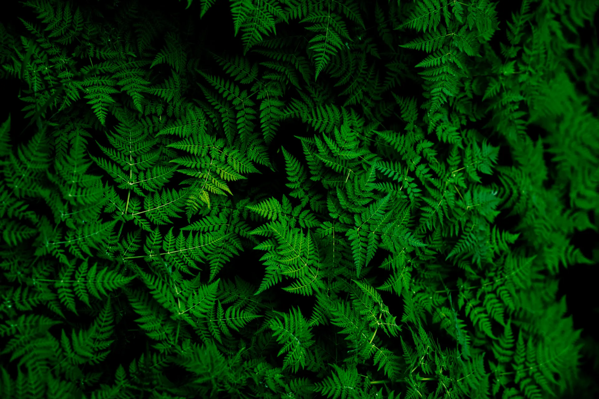 tc_217 | Início - MakerWorld