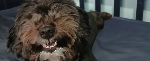 The3dman | Following - MakerWorld