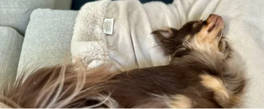 Noah | Startseite - MakerWorld