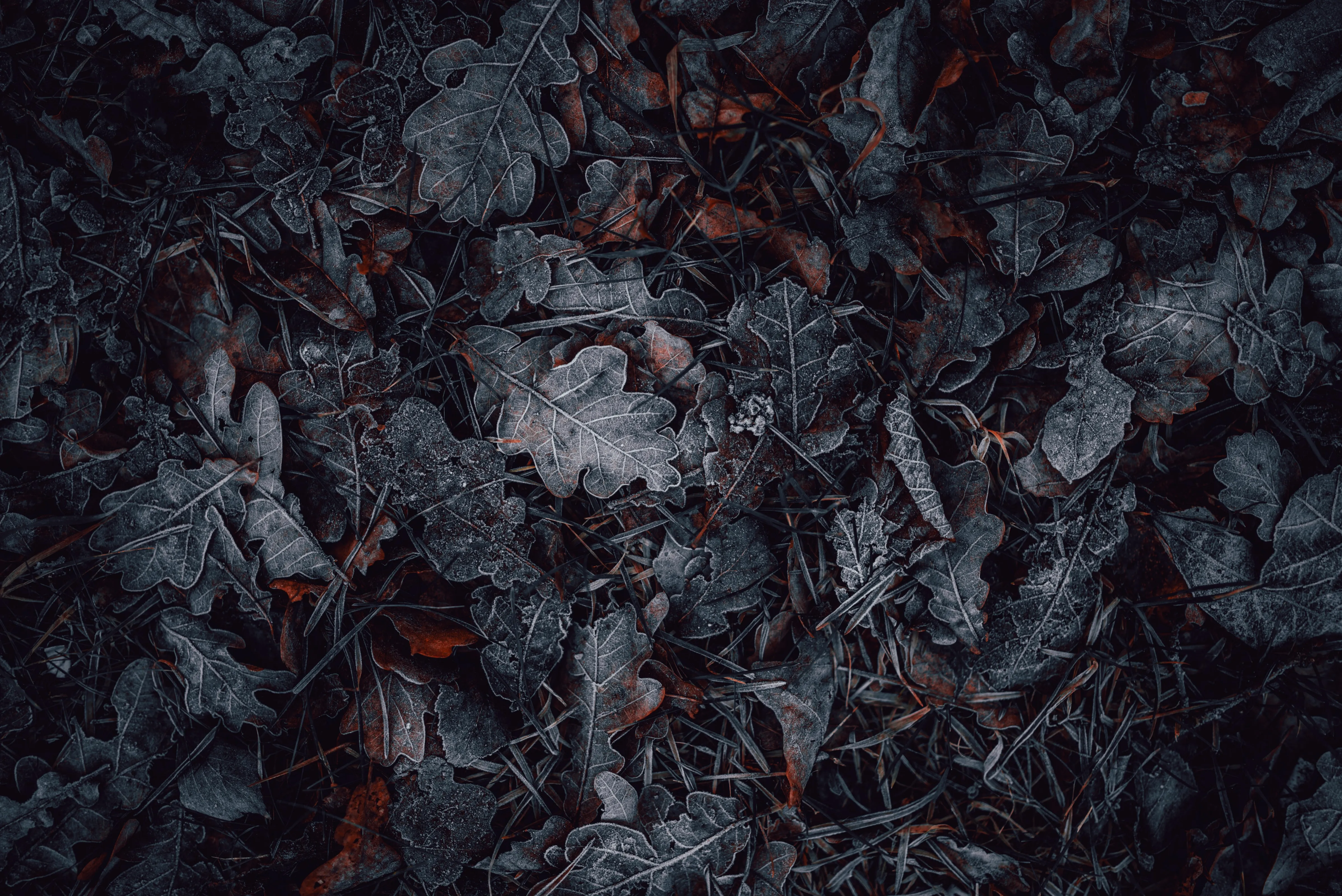 Relief_StudioFR | Startseite - MakerWorld