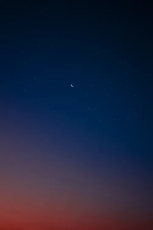 Void_rabbit | 홈 - MakerWorld