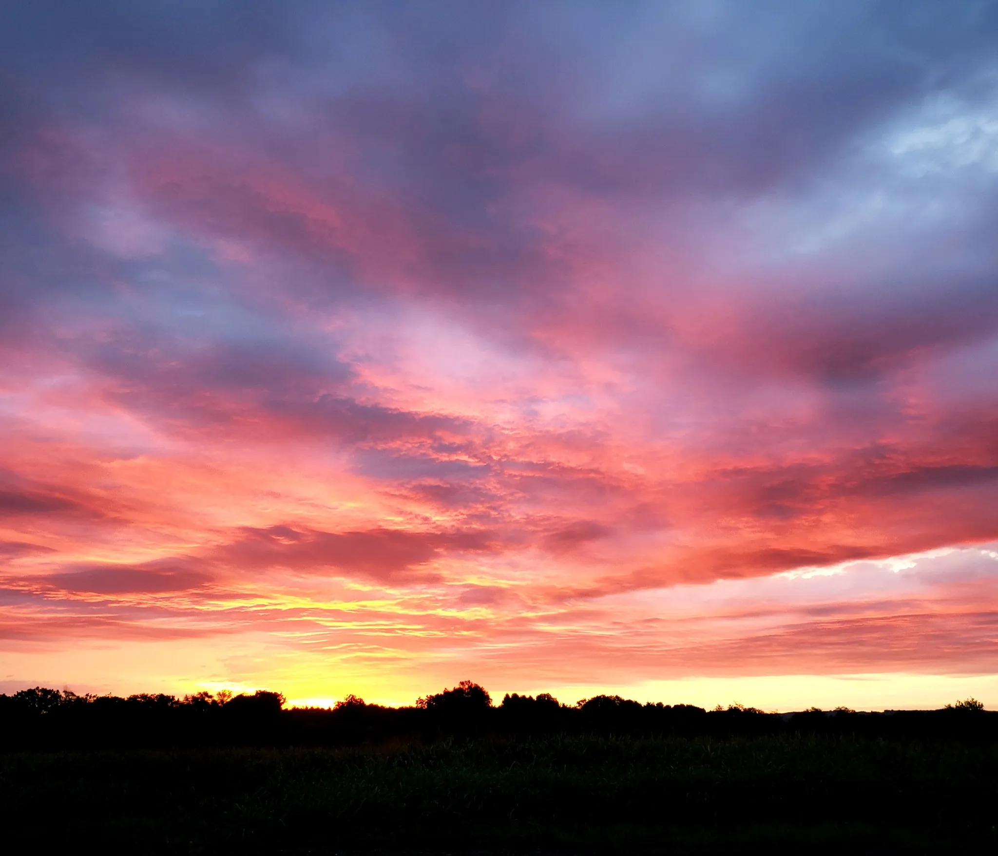 Chonk77 | Collections - MakerWorld