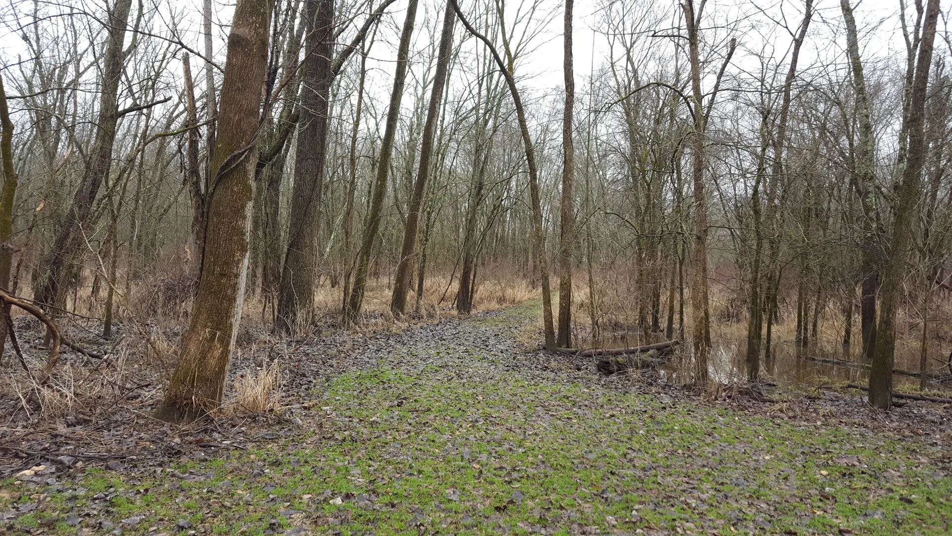 Davolous | Published - MakerWorld