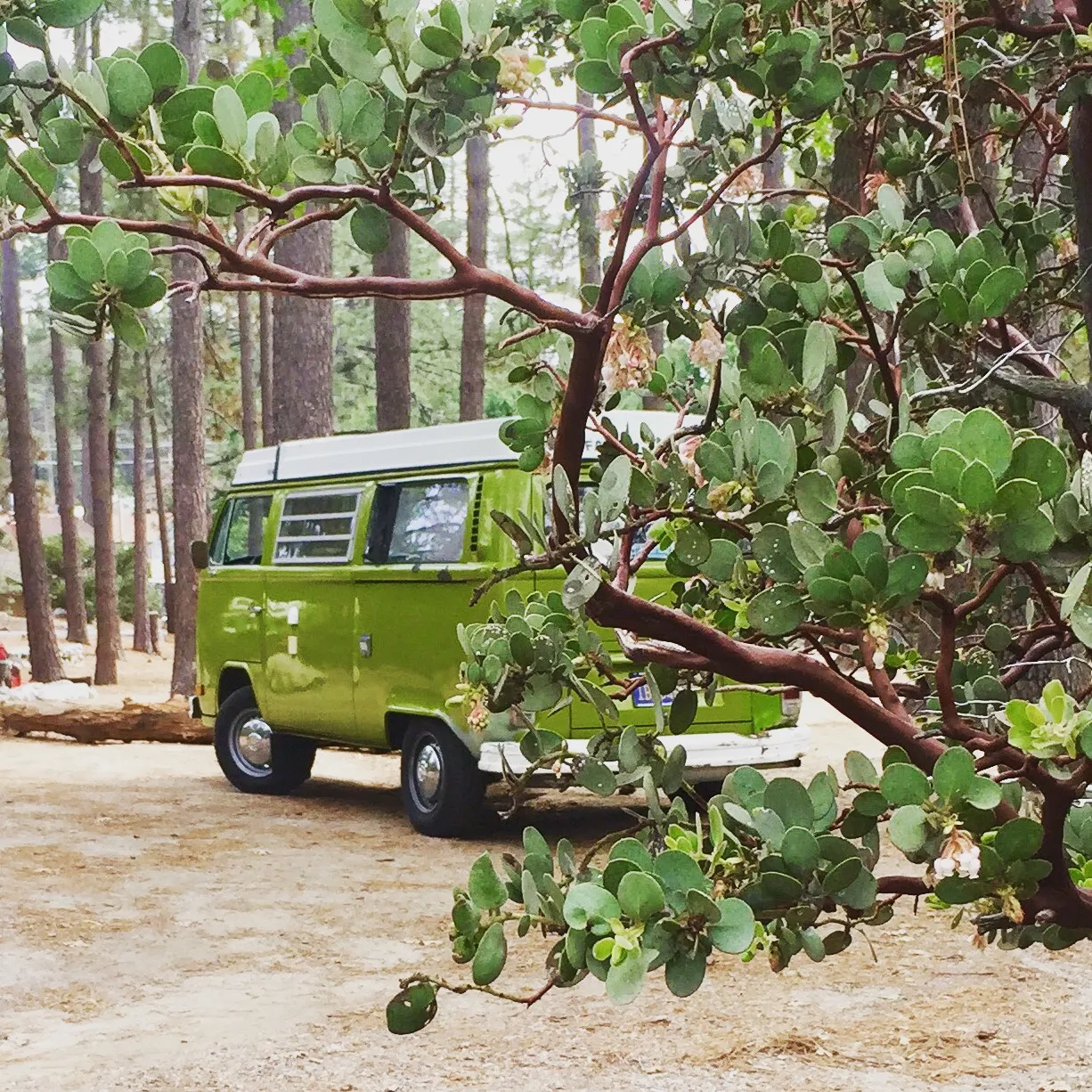 bryancald | Startseite - MakerWorld