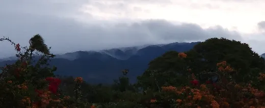 Roku Arta | Published - MakerWorld