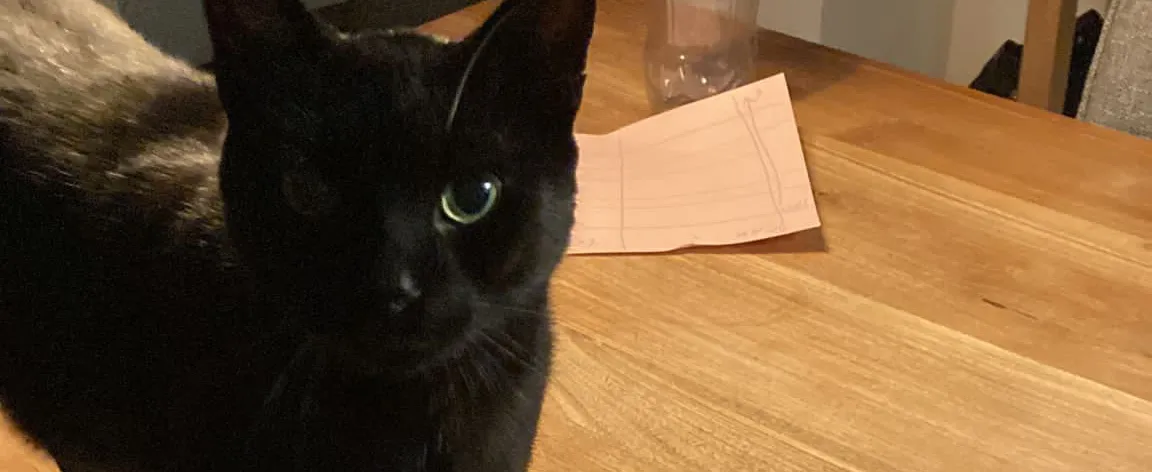 Ronootje | Inicio - MakerWorld