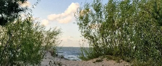 luckyluke81pl | Hem - MakerWorld