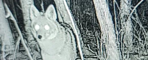 Jason | Published - MakerWorld