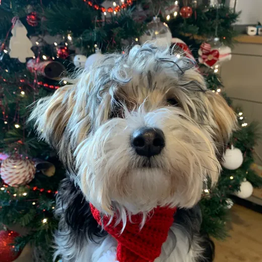 Harry995 | Published - MakerWorld