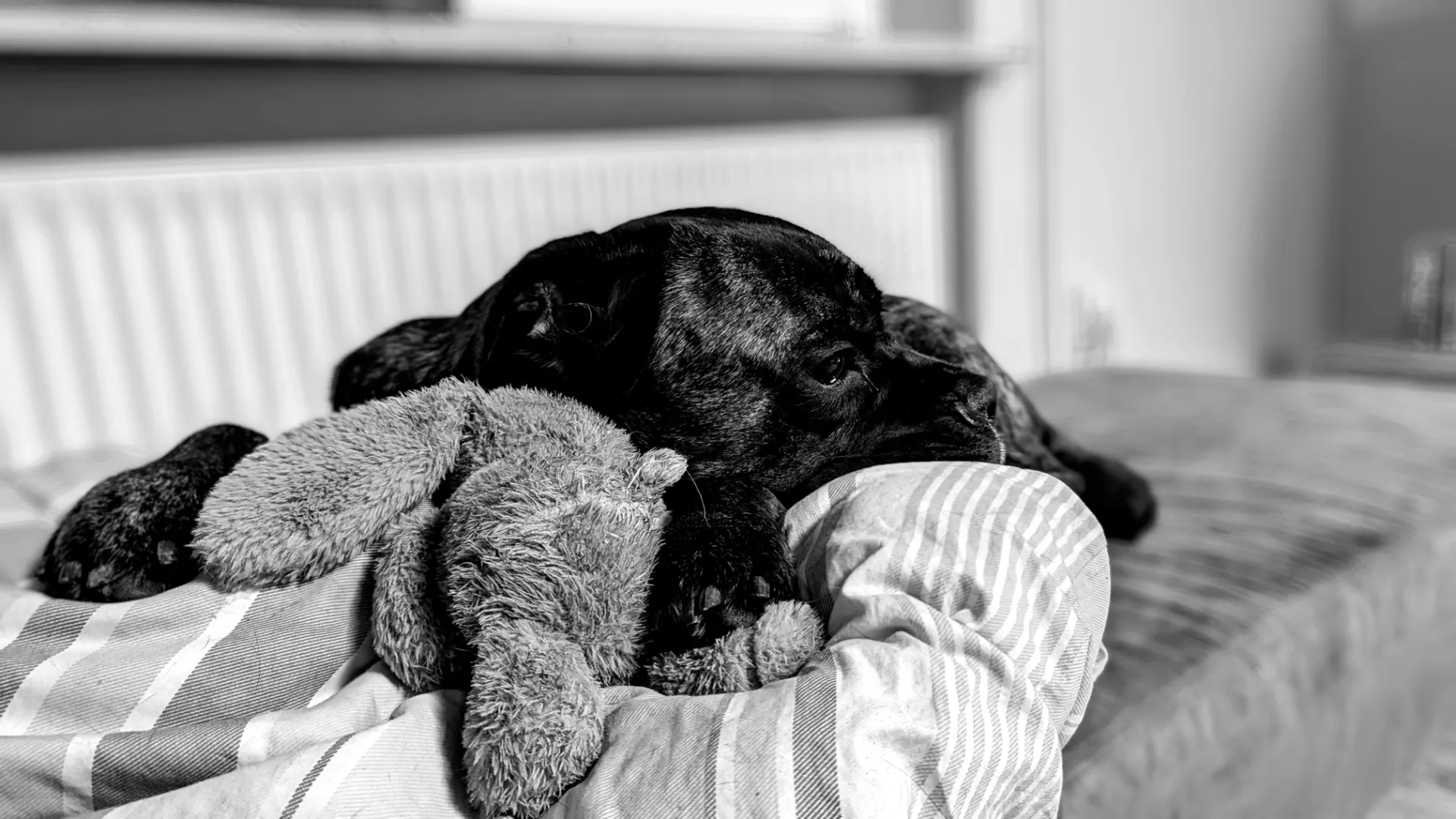 Patric76 | Published - MakerWorld