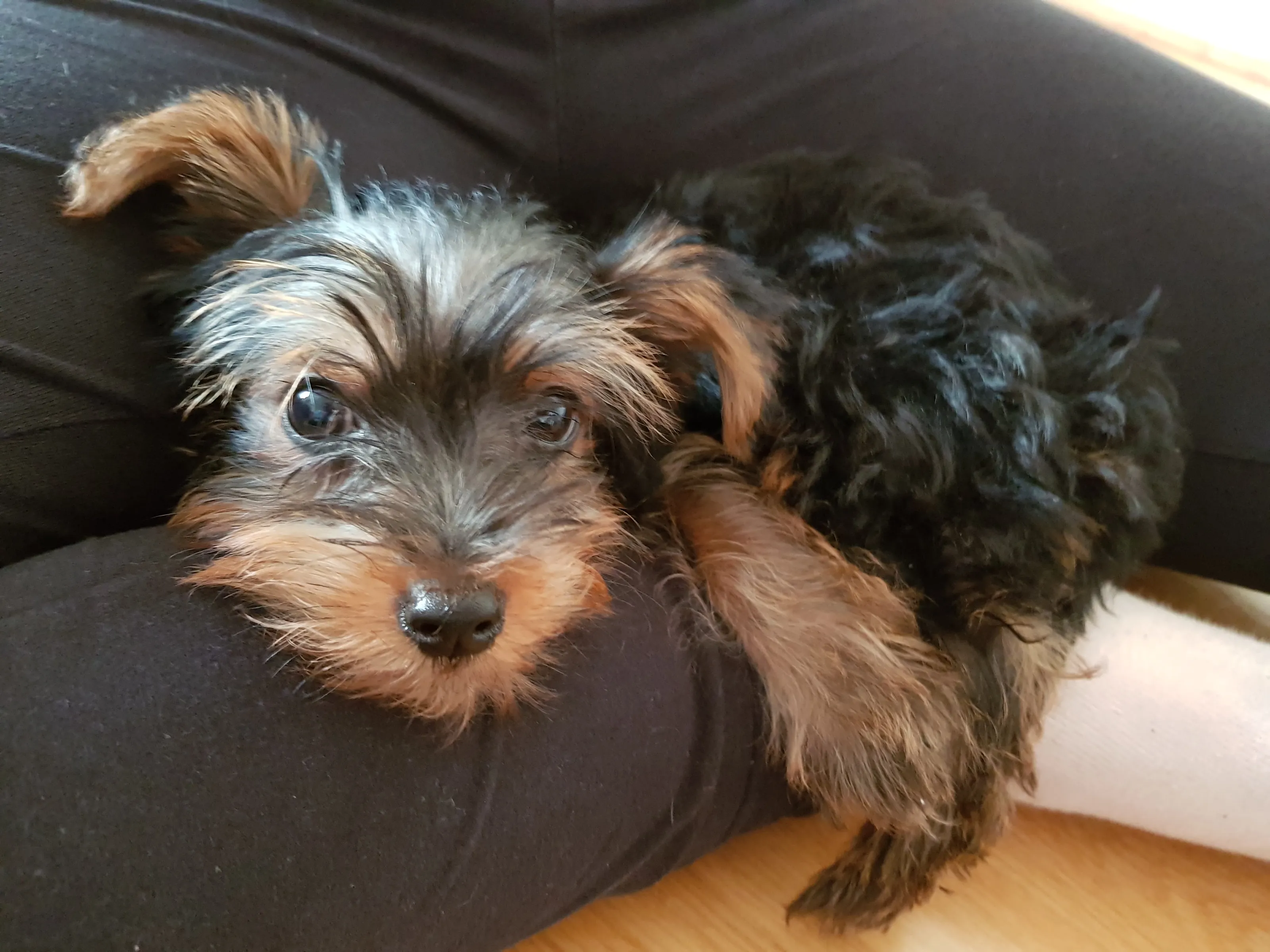 Griff | Startseite - MakerWorld