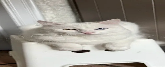 BrameetHam | Accueil - MakerWorld