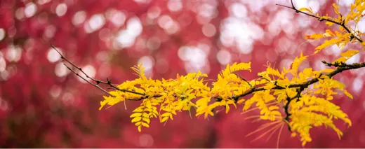 WiseClock | Inicio - MakerWorld