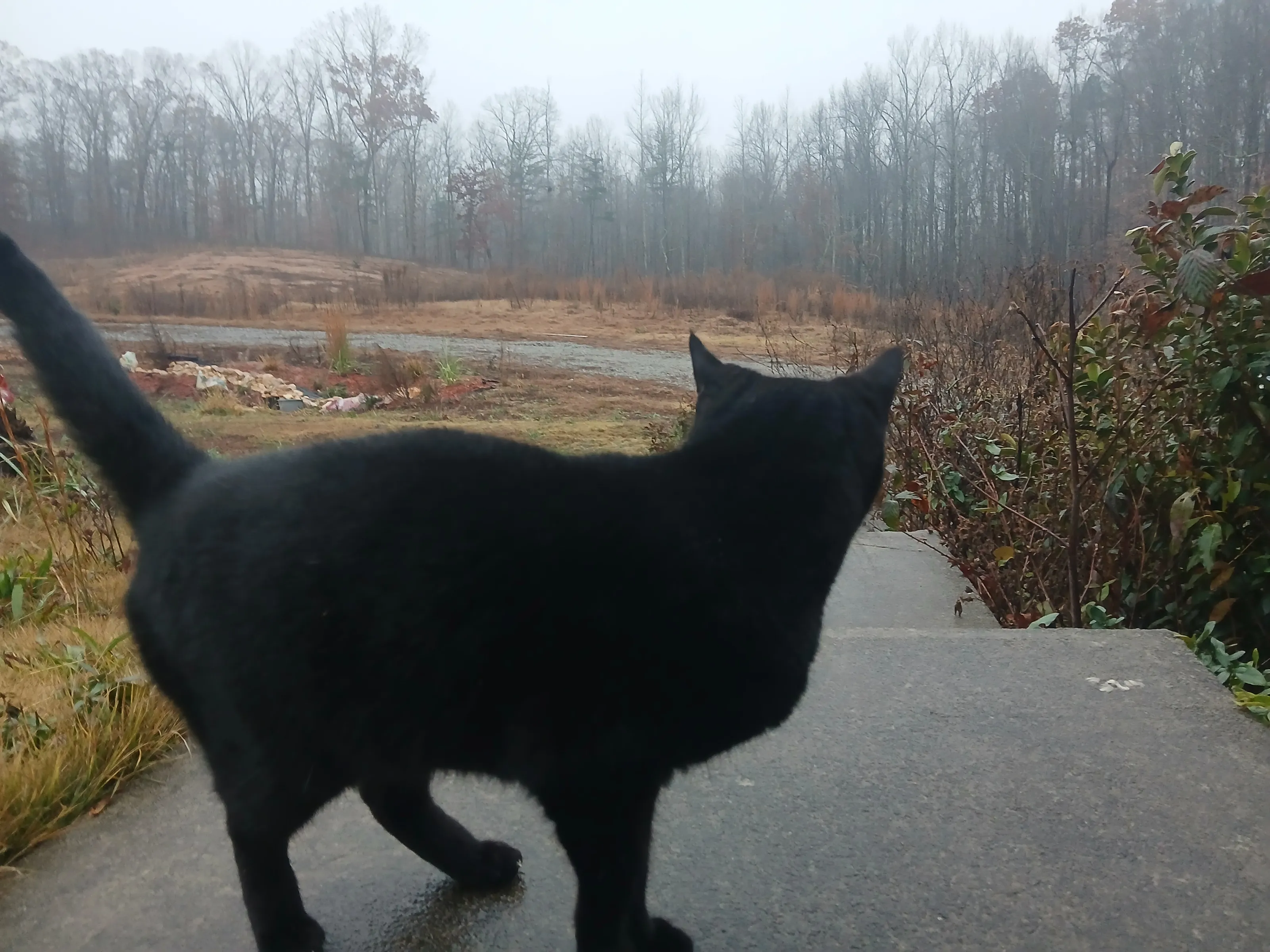 MuffinMan | Accueil - MakerWorld