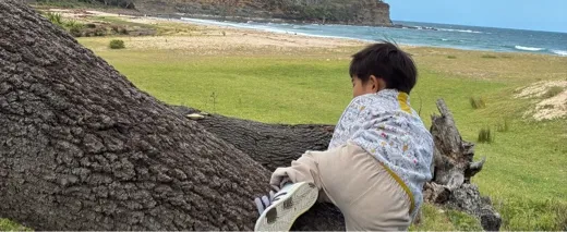 ShawnX | Collections - MakerWorld