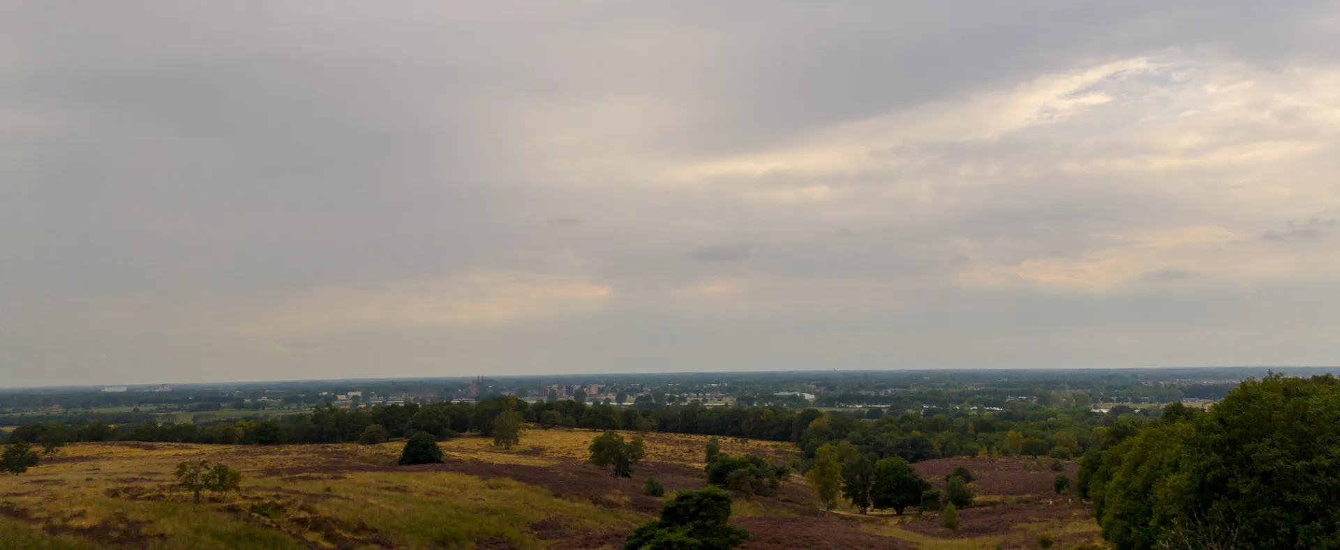 Korsnelis | Collections - MakerWorld