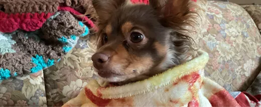 OAKLEYTHEPRINTER | Published - MakerWorld