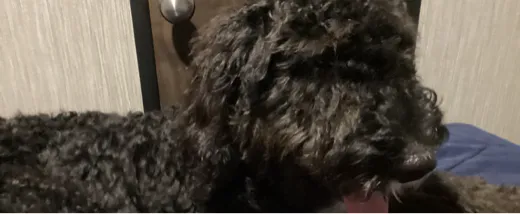 Lohax | Following - MakerWorld