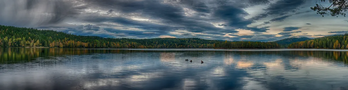 Chris Searle | Published - MakerWorld