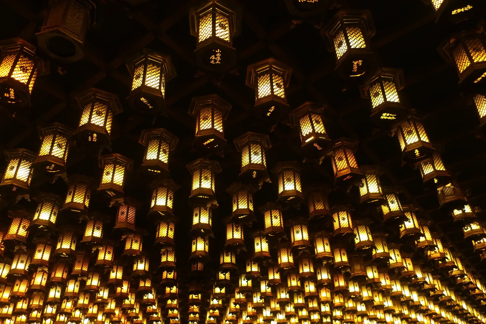 FentonFox | Published - MakerWorld