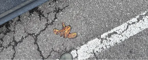 daniel.pollard | Published - MakerWorld