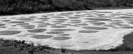 geoff.pedder | Published - MakerWorld