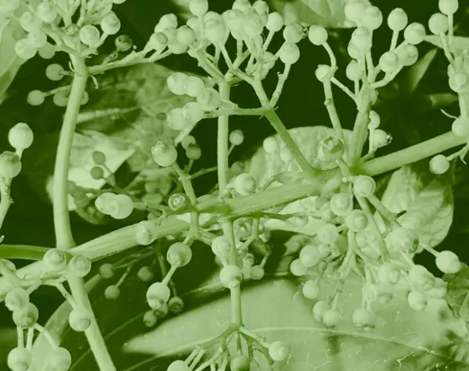 Bloxy_Crafts | Home - MakerWorld