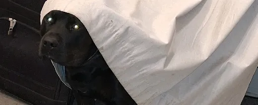 Native | Collections - MakerWorld