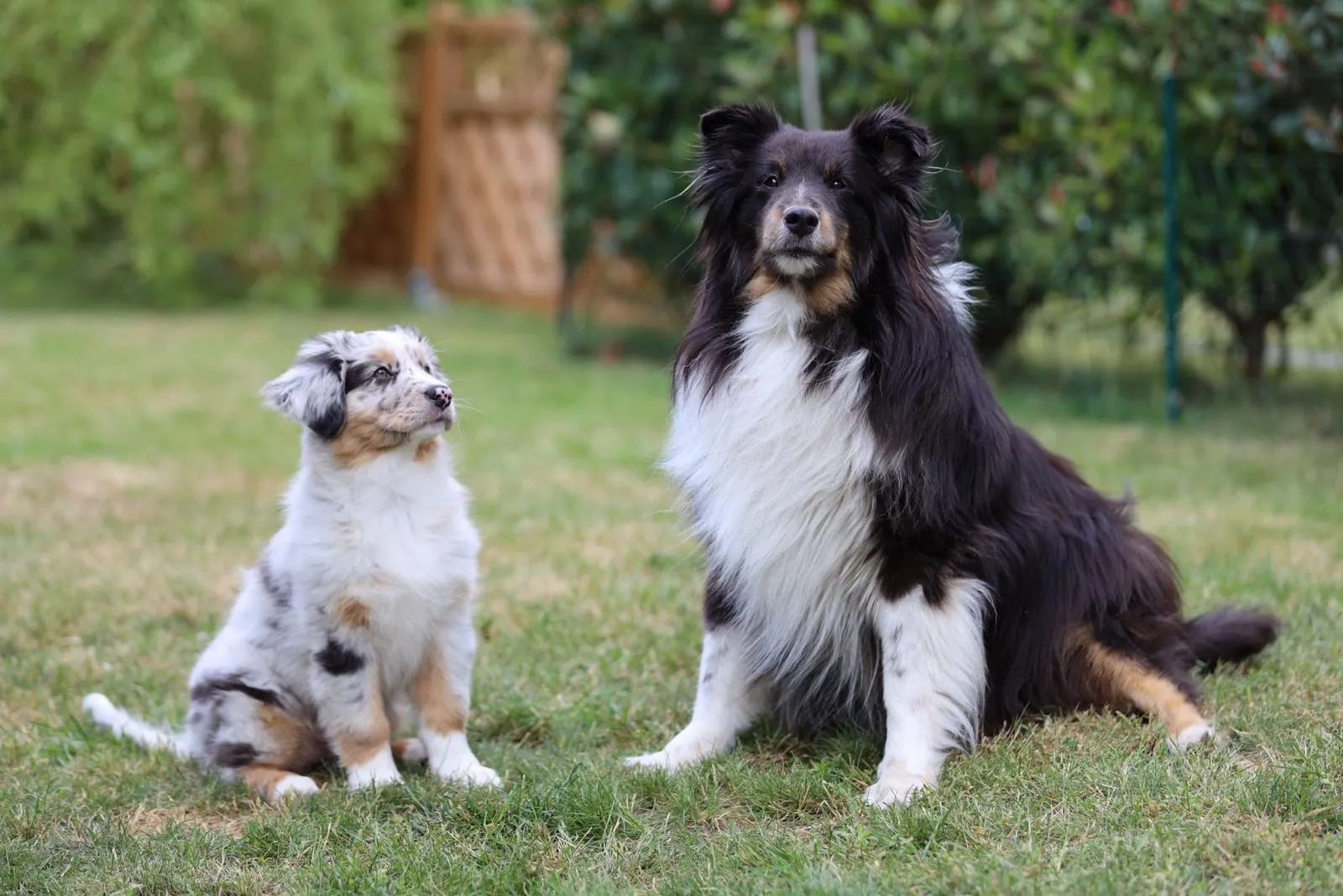 Ebmeier | Published - MakerWorld