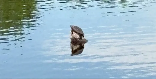 Cory Z | Home - MakerWorld