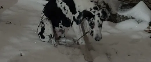 hellomoto | Startseite - MakerWorld