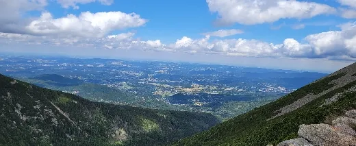 Hodowca pająków PL | Published - MakerWorld