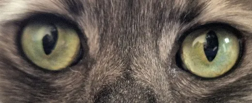 Old Man Fire | Published - MakerWorld