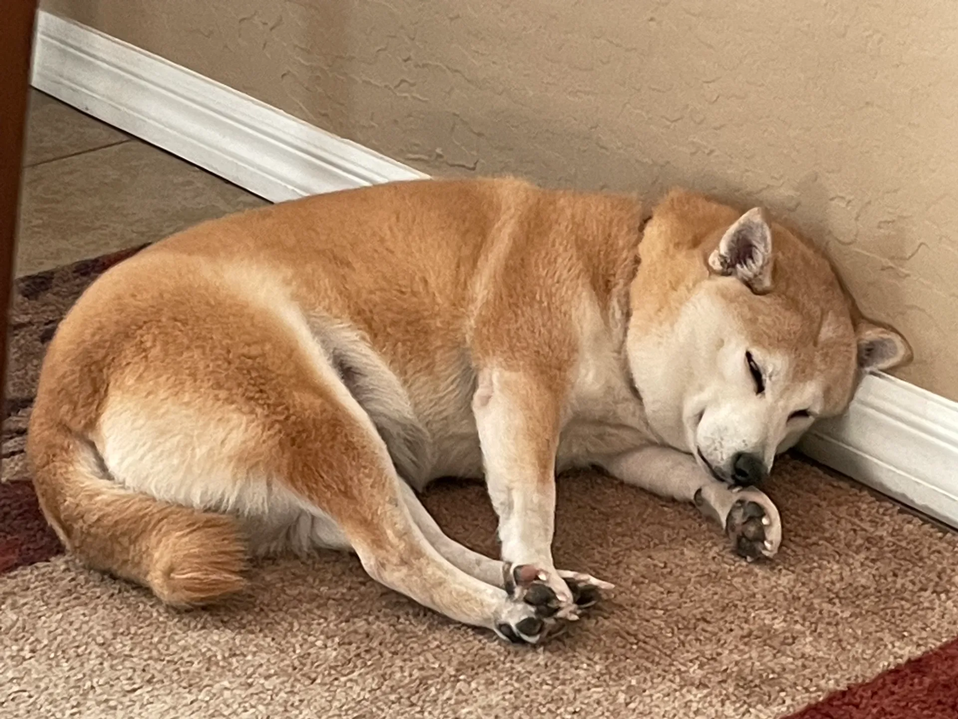 KFPanda86 | Inicio - MakerWorld