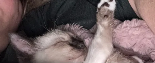 E. | Accueil - MakerWorld