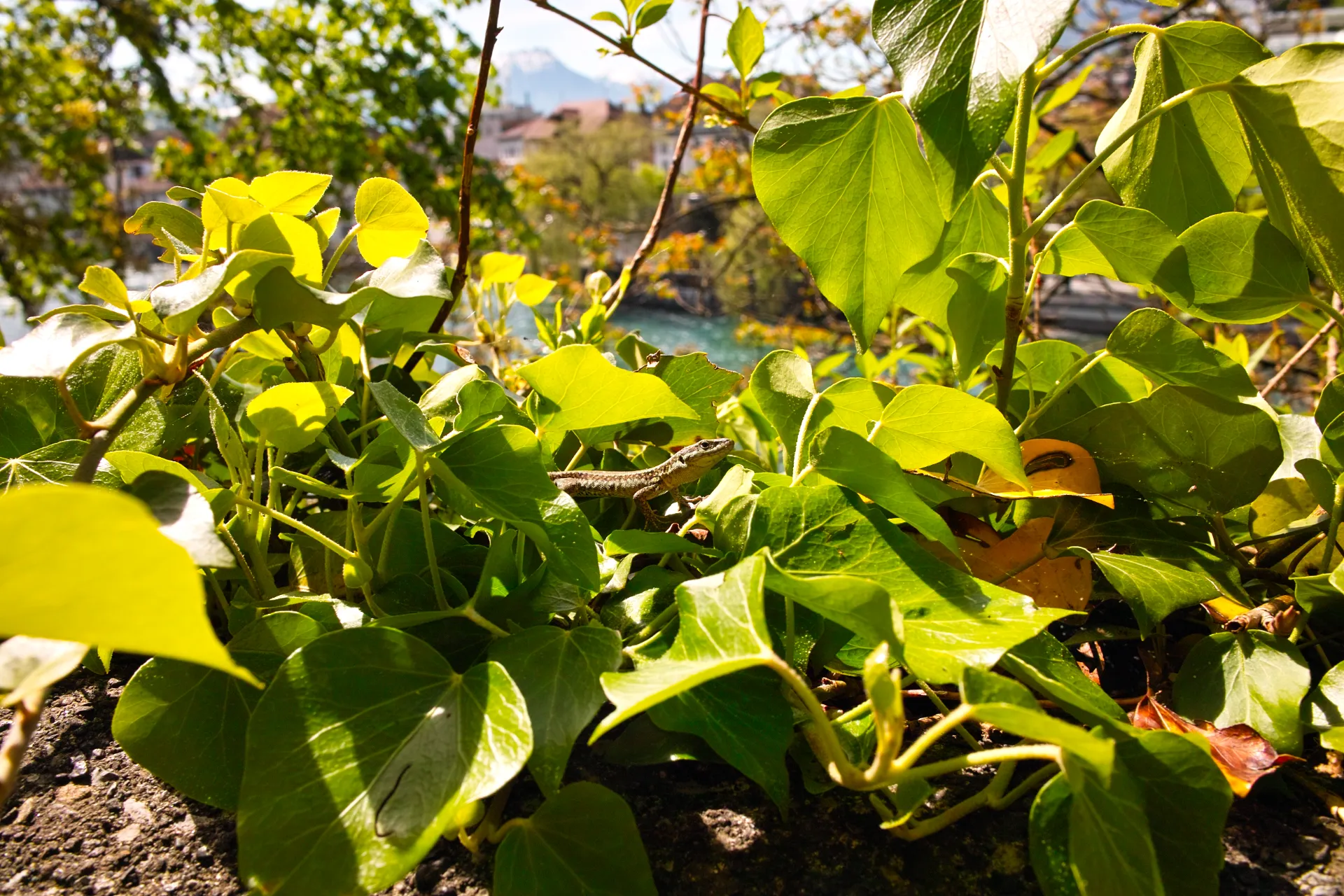 ThePRG | Published - MakerWorld