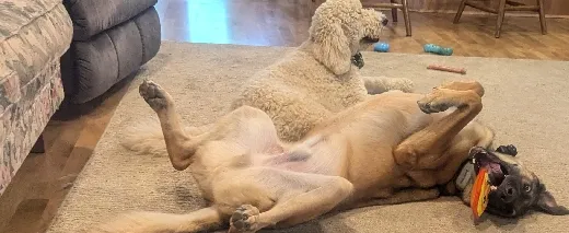 Caroline + Daniel | Published - MakerWorld