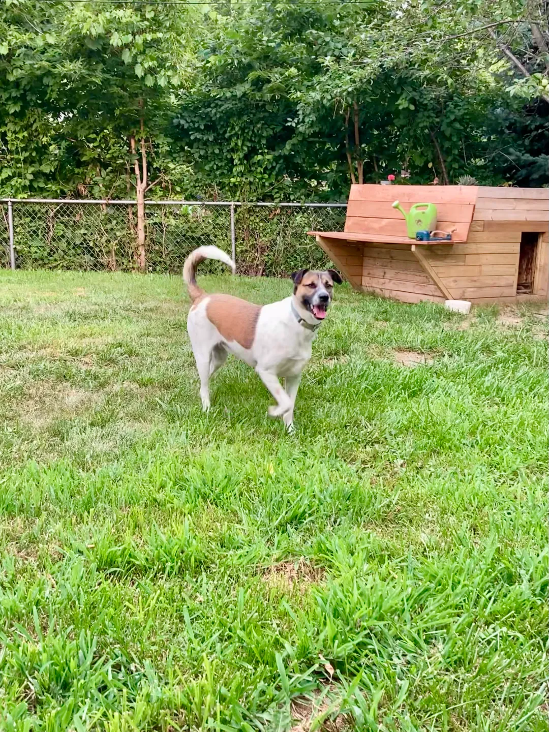 JerIsConfused | Published - MakerWorld