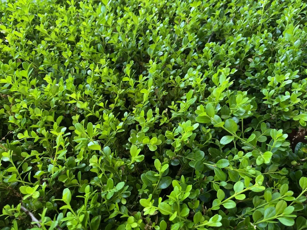 max labs | Published - MakerWorld