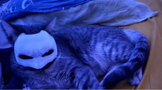 Alexx | Accueil - MakerWorld