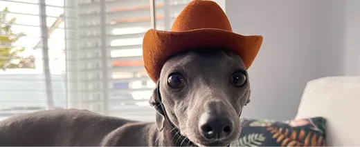 PeteY | Accueil - MakerWorld