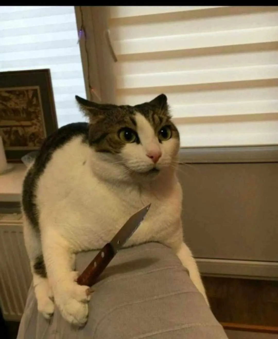 cheese_man | 홈 - MakerWorld