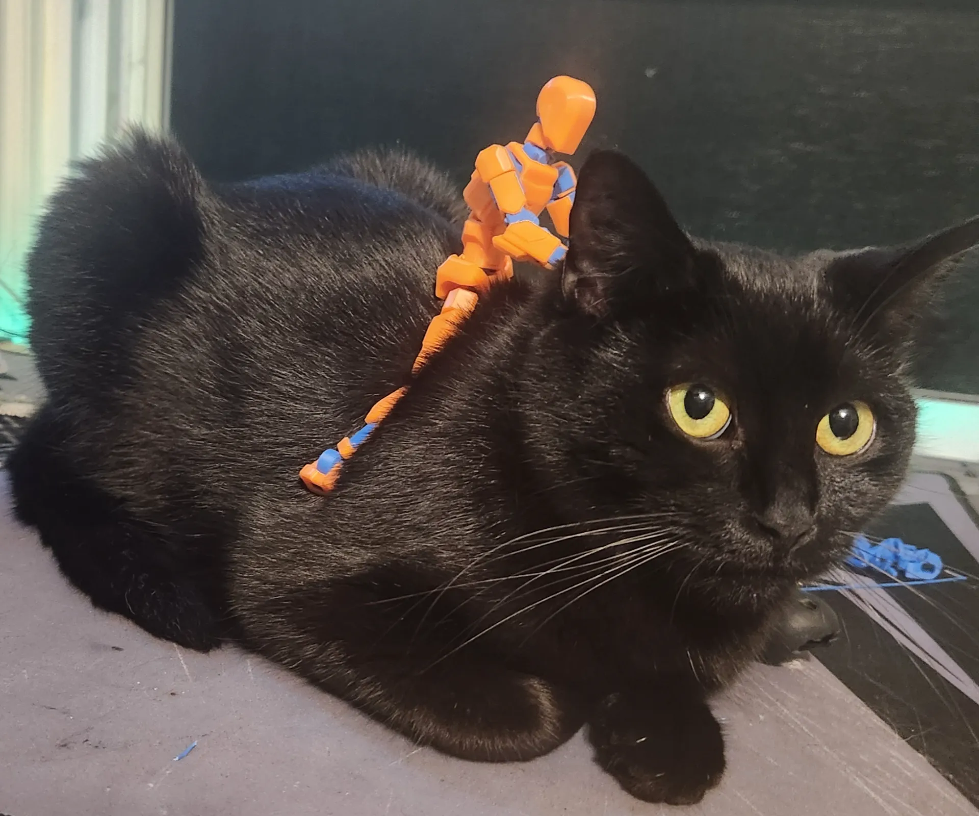 Kbfly | Início - MakerWorld